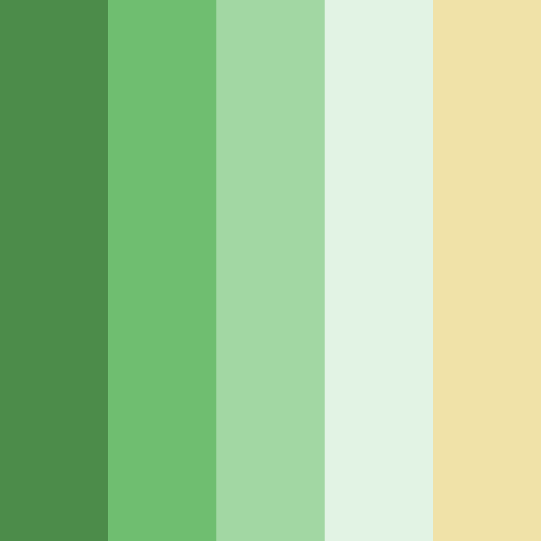 Forest Color Palette