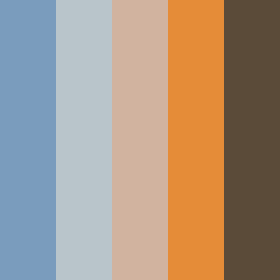 Minimal Aesthetic Color Palette