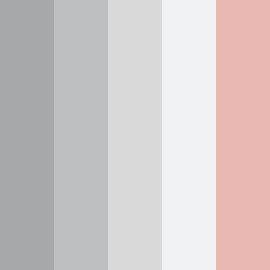Soft Silver Color Palette