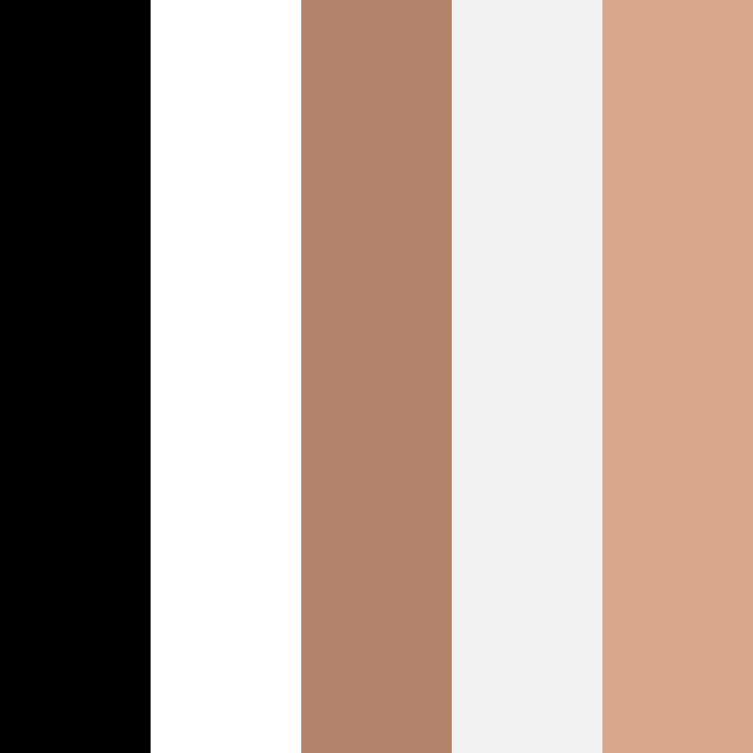Elegant Contrast Color Palette