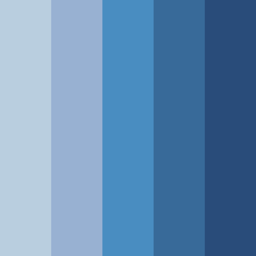 Gojo Color Palette