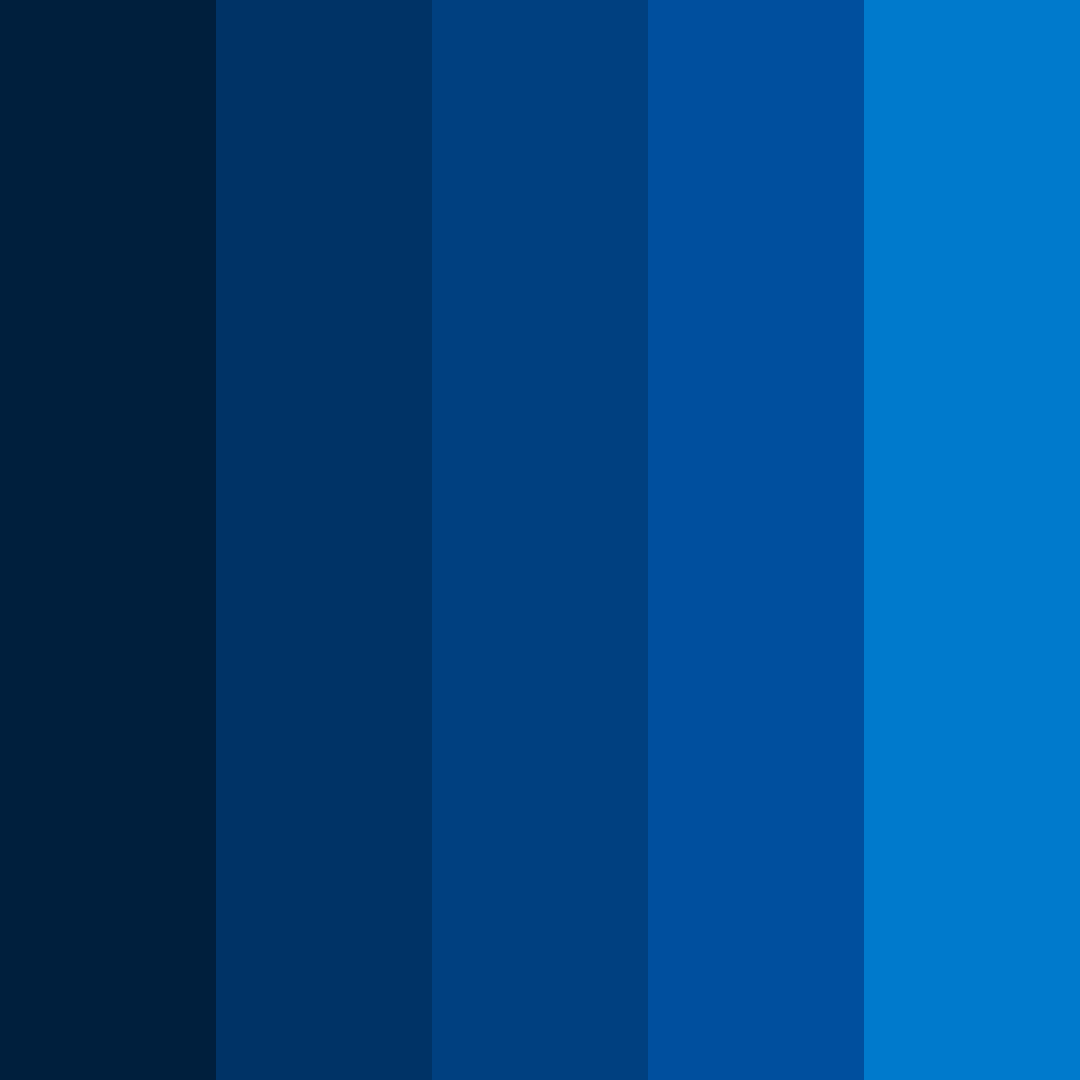 Navy Coastline Color Palette
