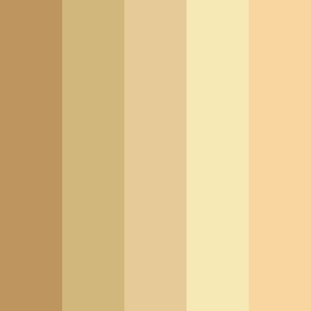 Paleta de colores Warm Beige