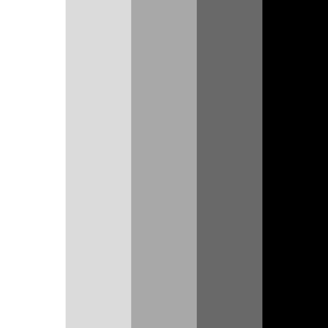 Shades of Black and White Color Palette