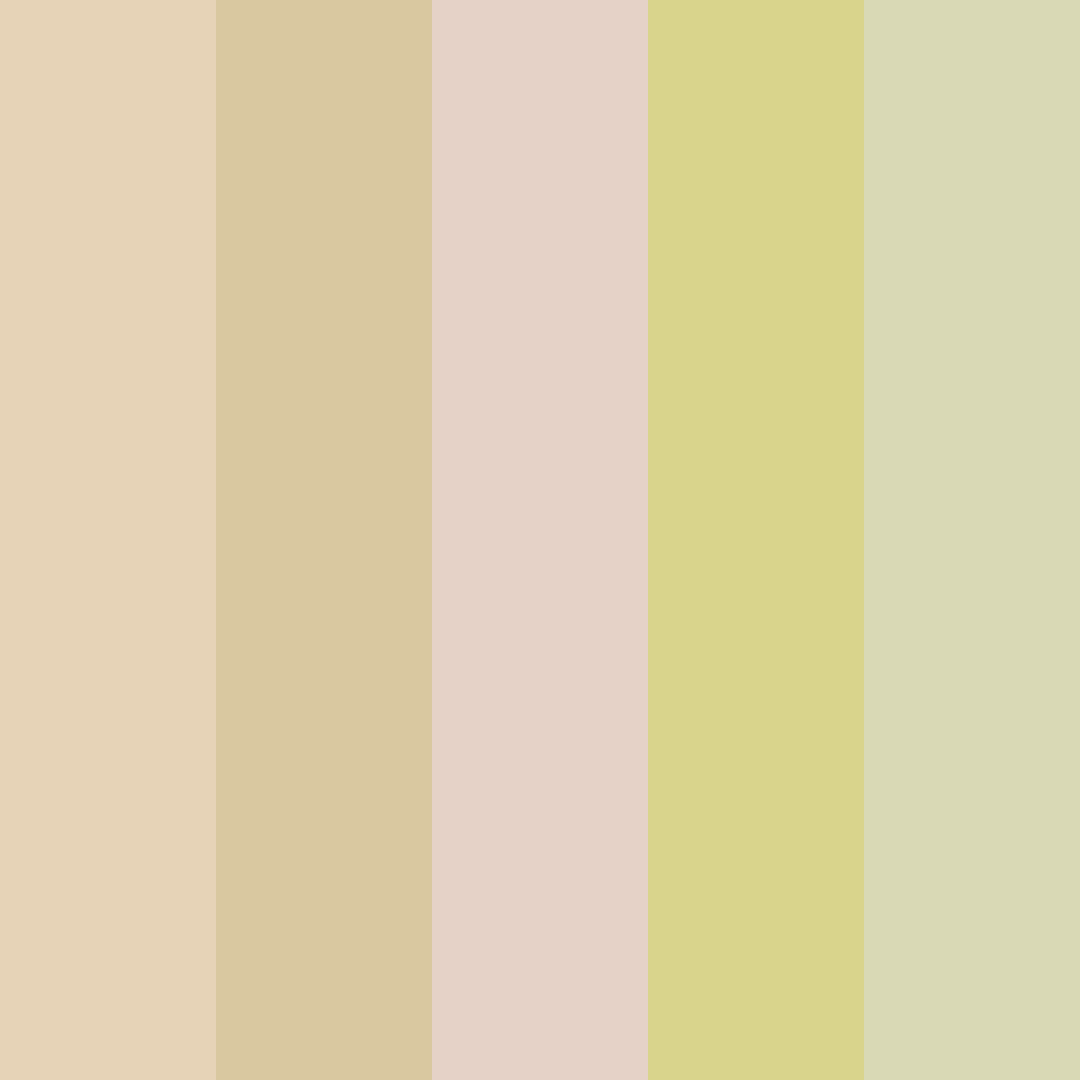 Light Beige Color Palette