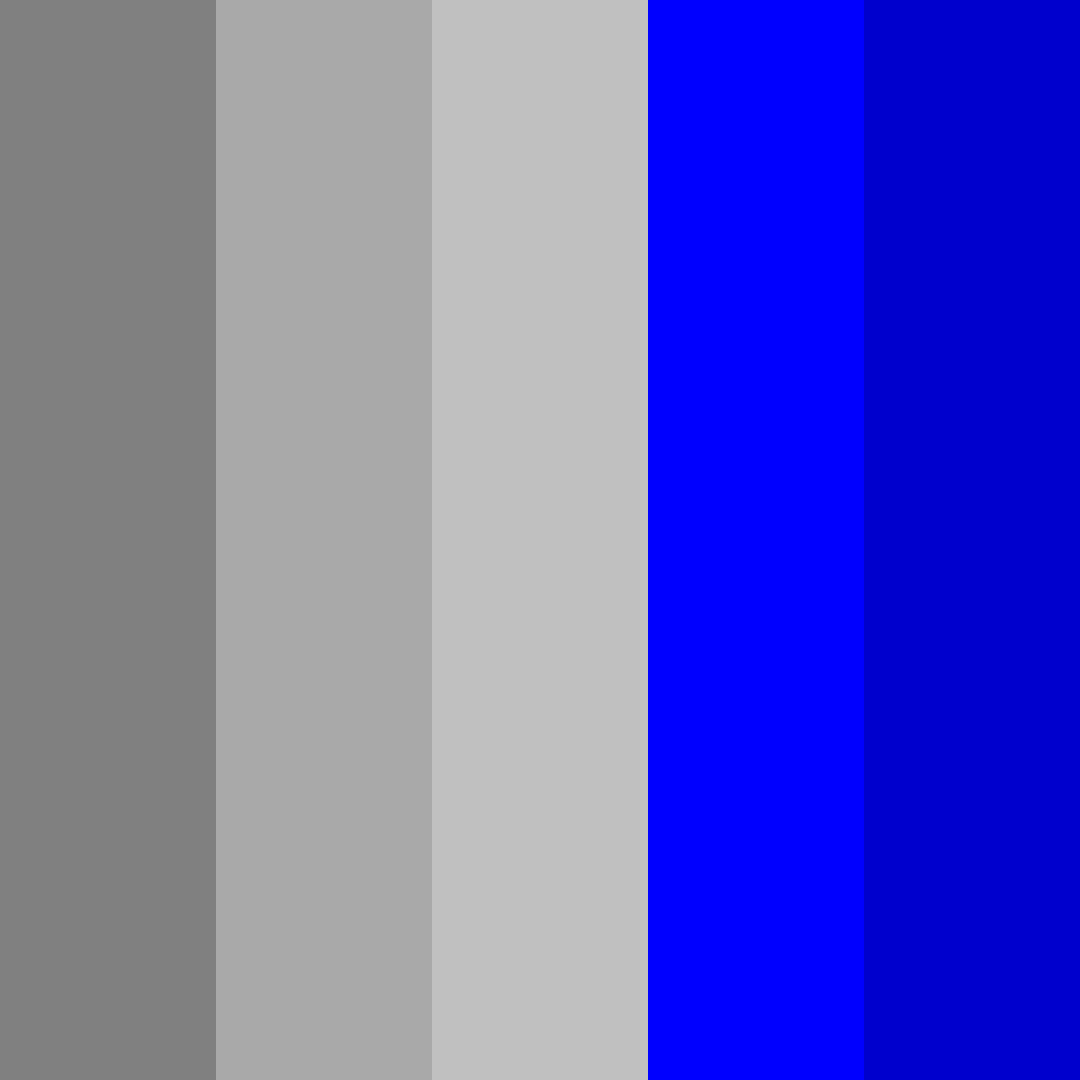 Gray Blue Color Palettes - ColorMagic
