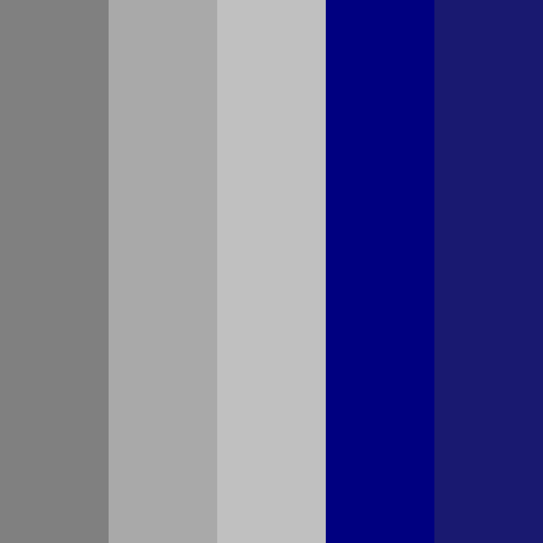 Gray Space Color Palettes - ColorMagic